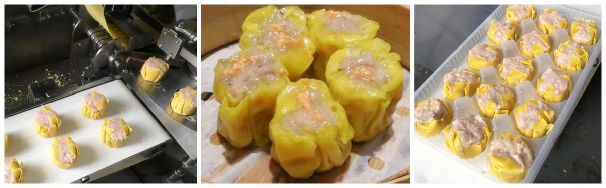 Siomai making machine for sale Philippines | Swift Machinery